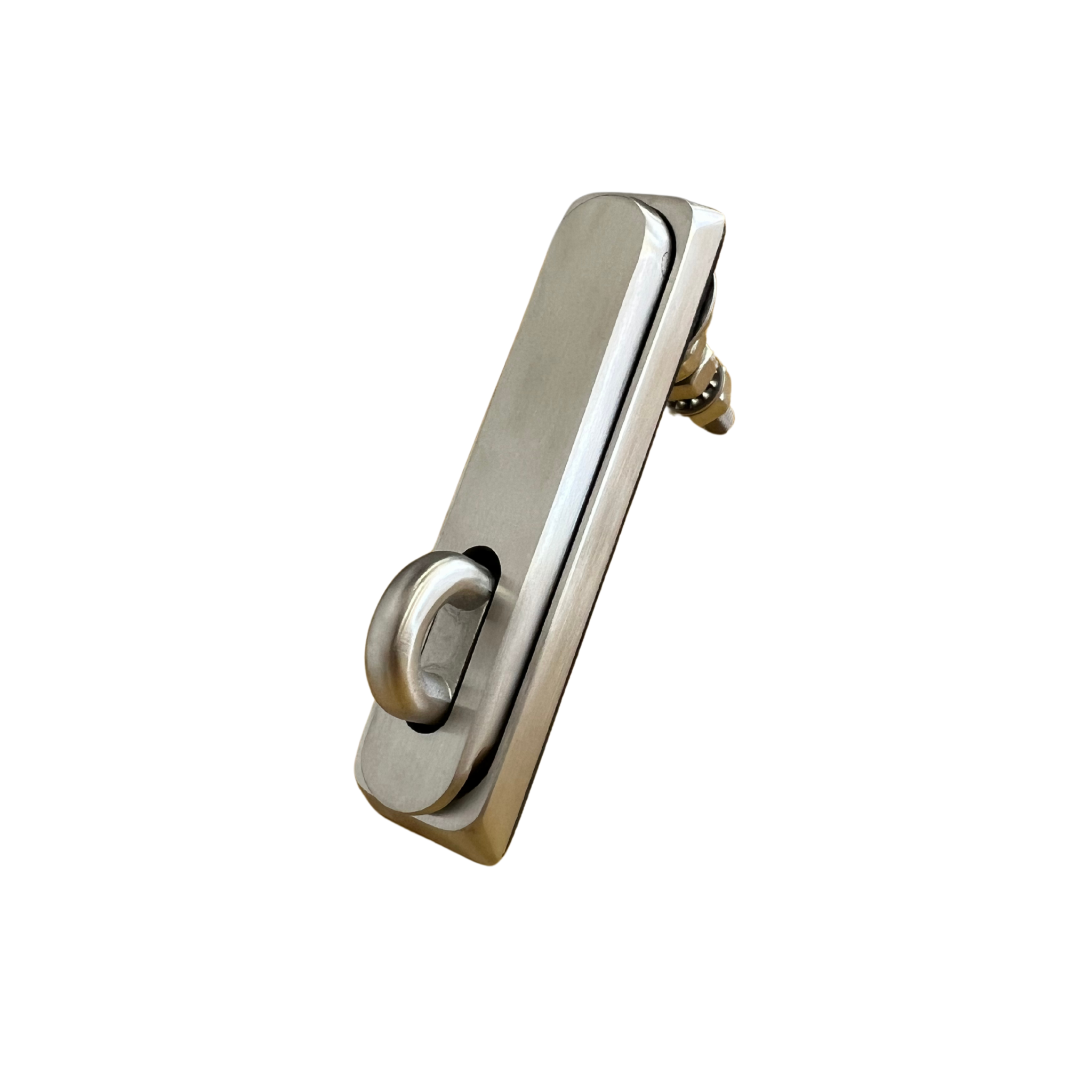 Padlockable Stainless Steel Swing Handle | TSF Direct